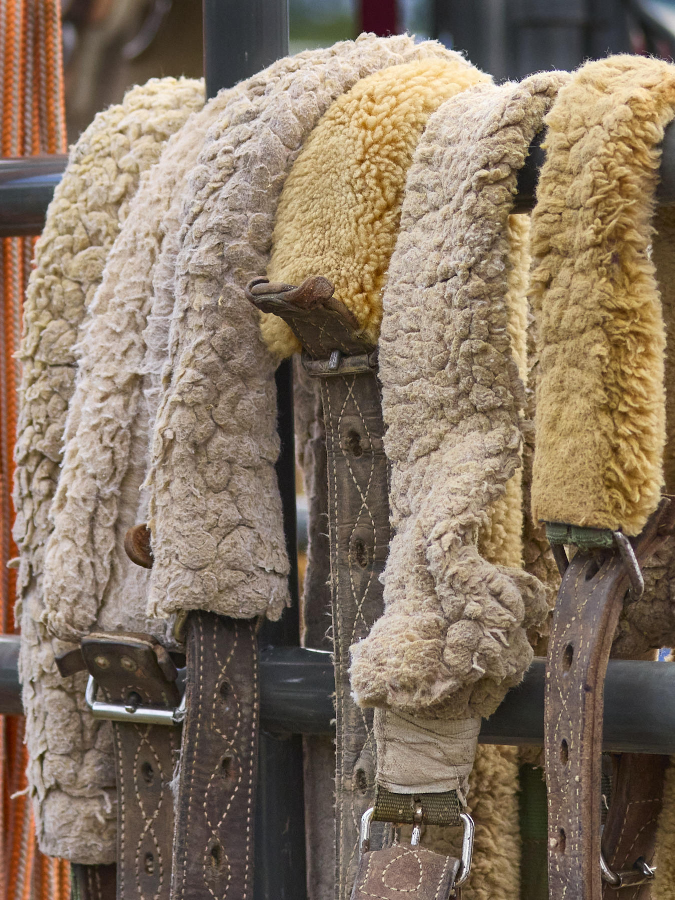 Images - Professional Rodeo Photographs