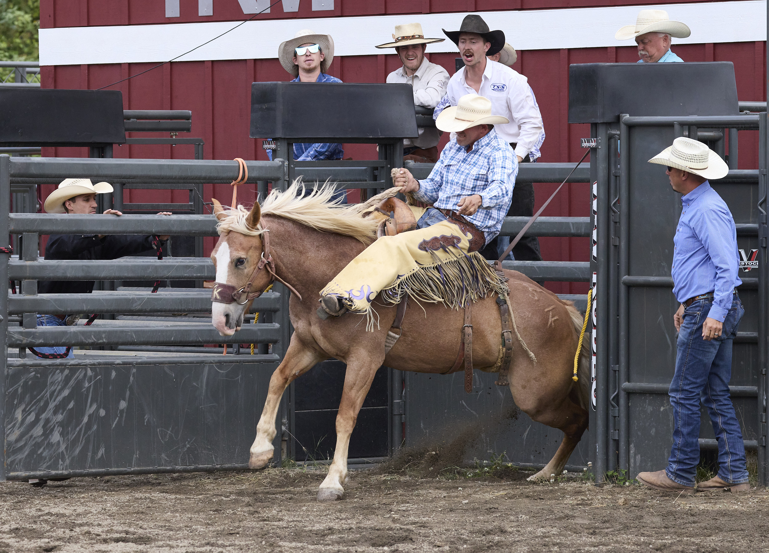 Images - Professional Rodeo Photographs