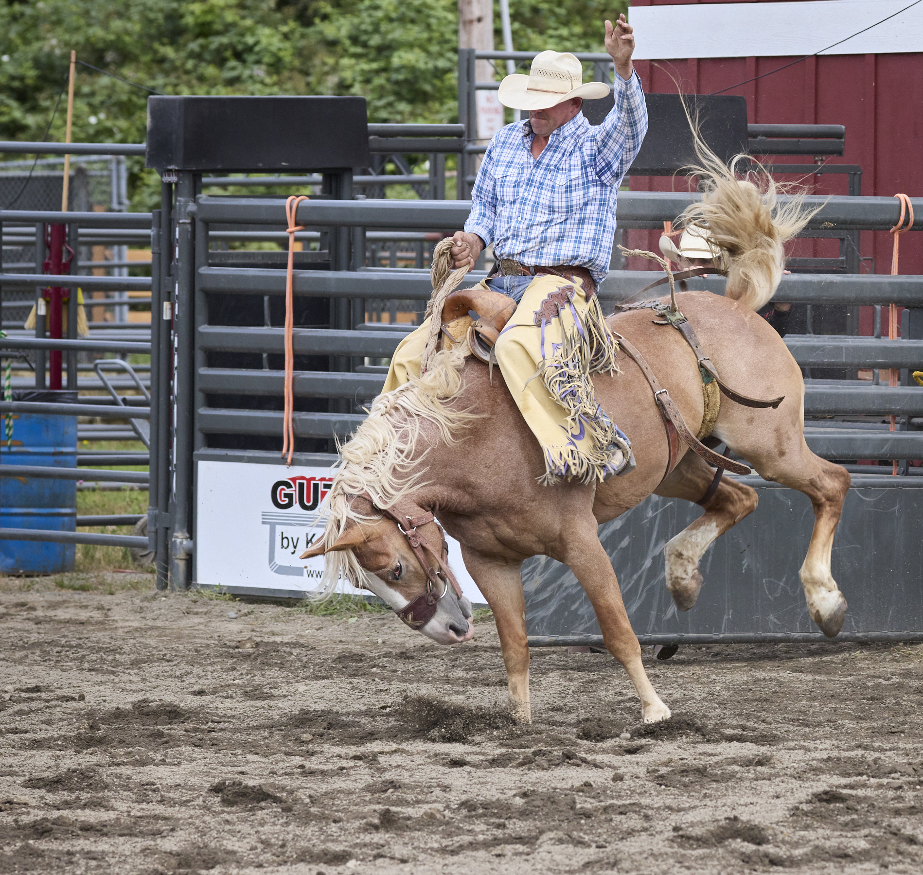 Images - Professional Rodeo Photographs