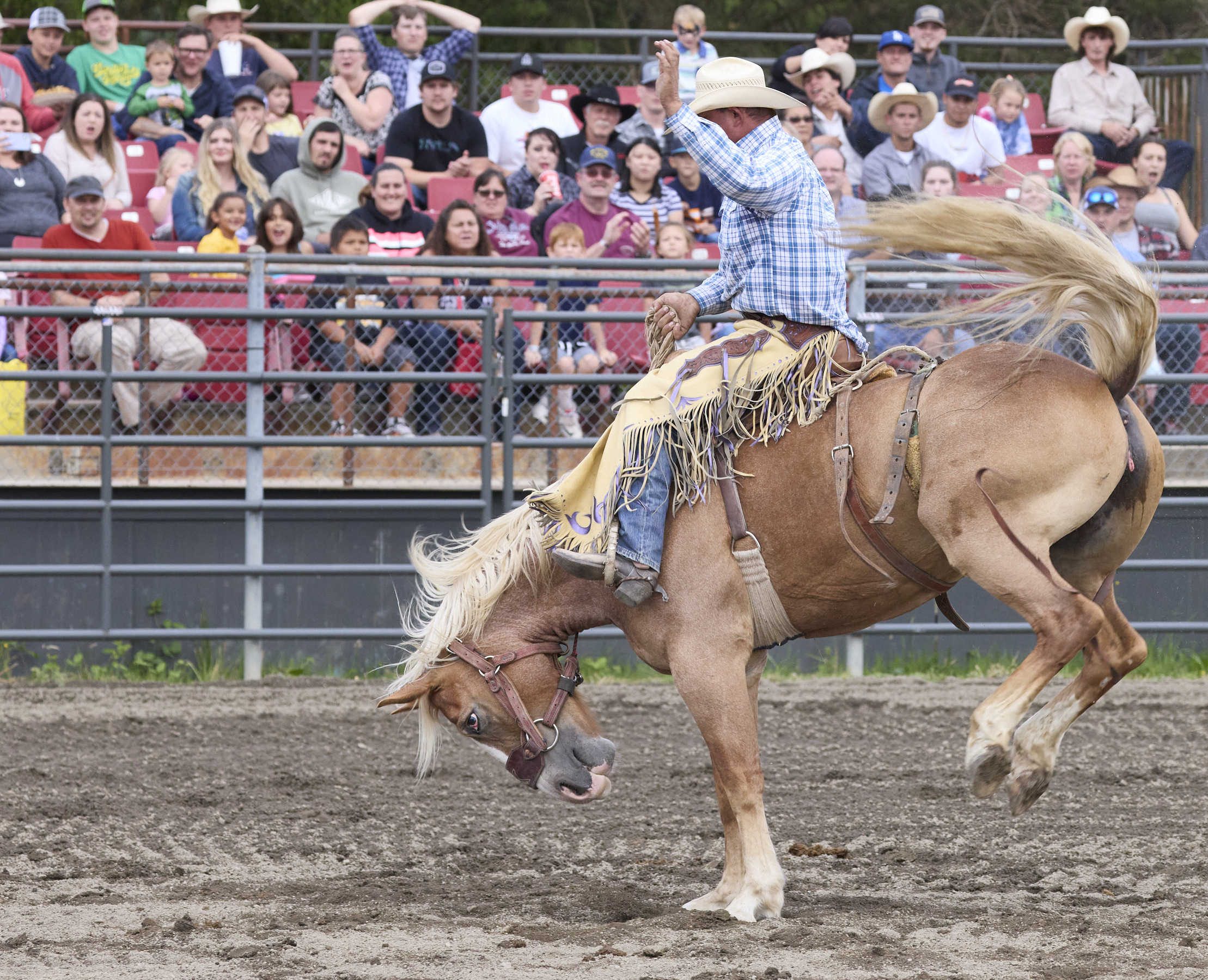 Images - Professional Rodeo Photographs