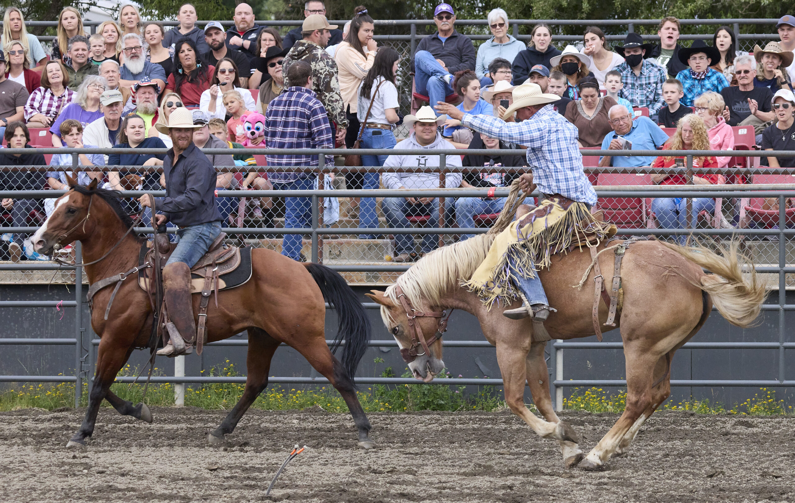 Images - Professional Rodeo Photographs