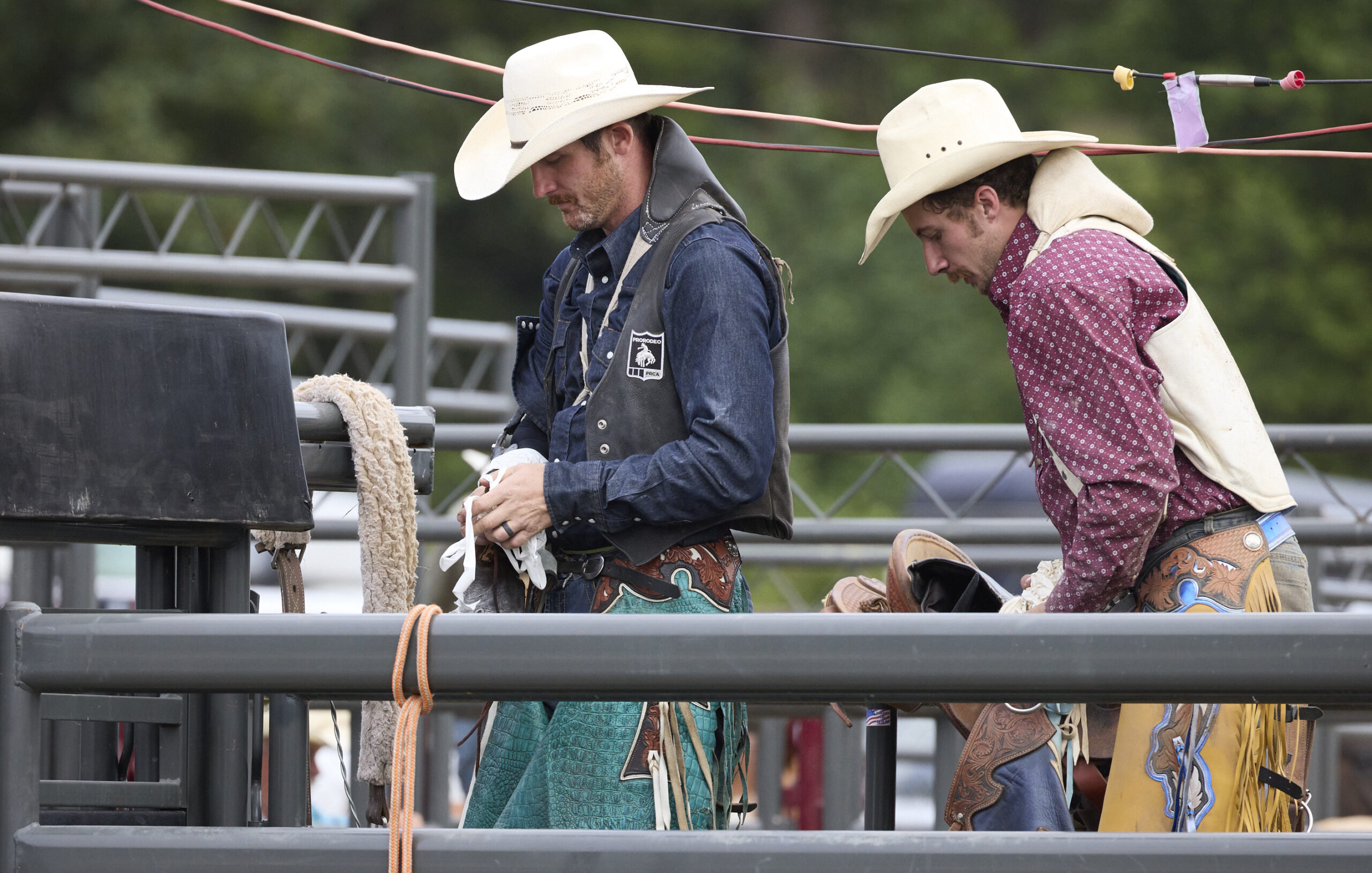 Images - Professional Rodeo Photographs