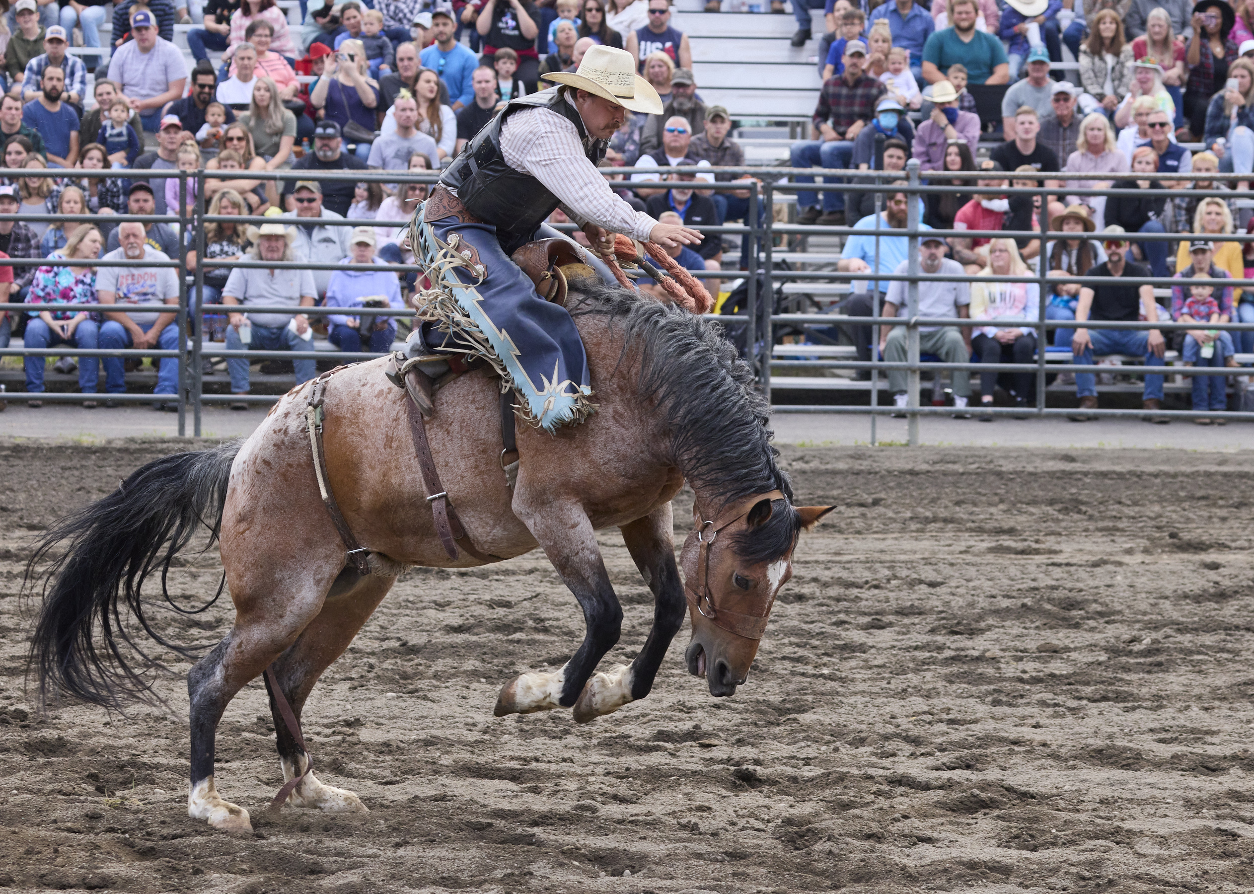 Images - Professional Rodeo Photographs
