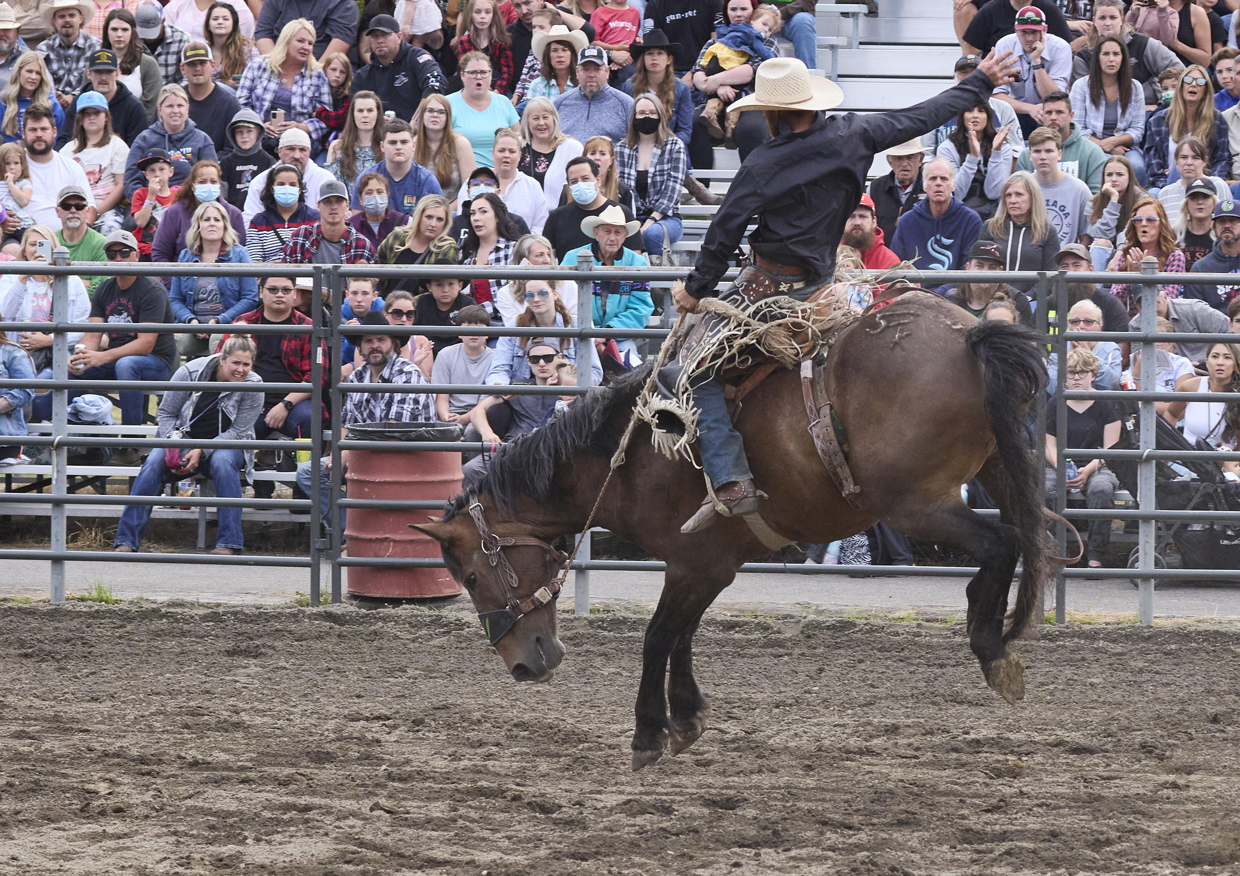 Images - Professional Rodeo Photographs